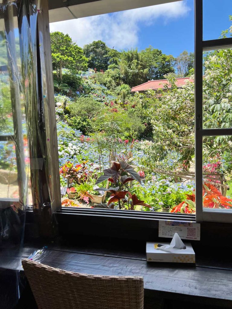 Yohena Hydrangea Garden is a tourist spot in northern Okinawa that is ...